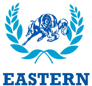 Eastern Shuts Out Phelps 39-0, Clinches DCIAA Home Playoff Game | Afro