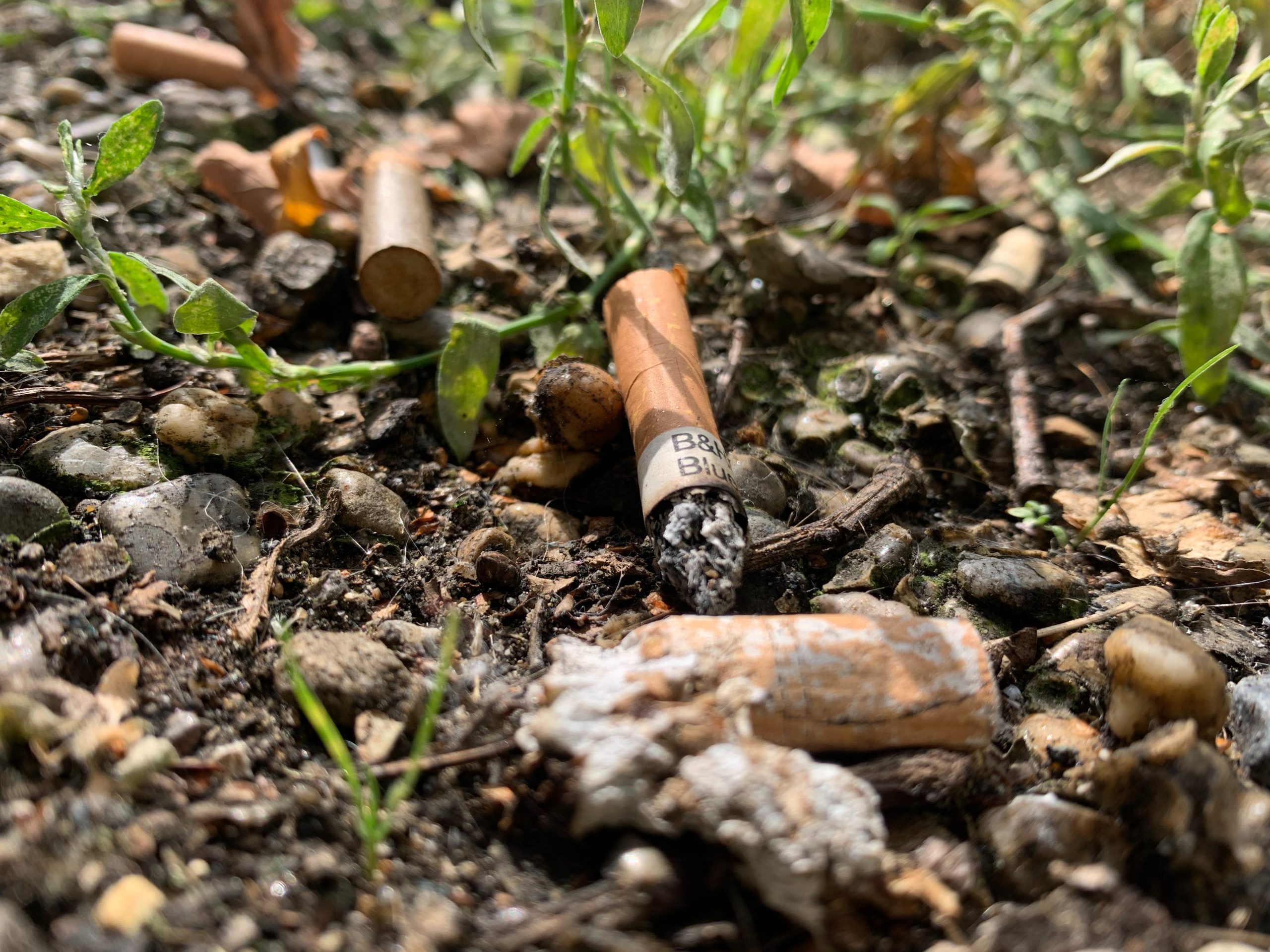 City of Baltimore battles cigarette manufacturers in first-of-its-kind ...