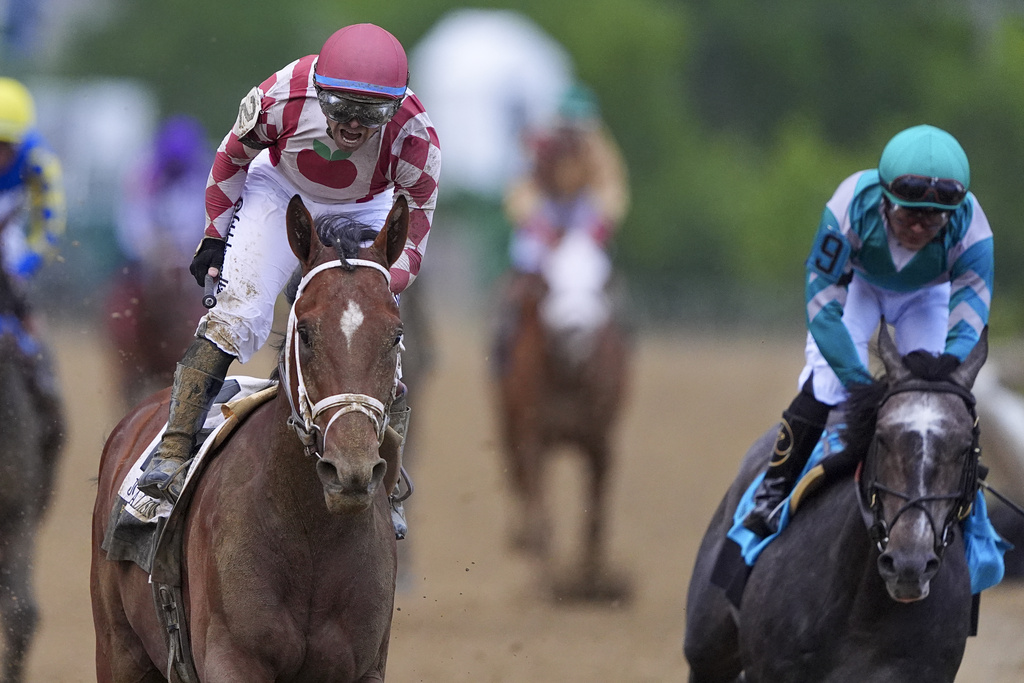 Journalism edges Gosger to win Preakness 150th | AFRO American Newspapers
